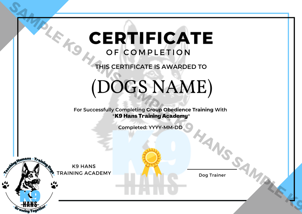 Group Obedience – K9 Hans Training Academy