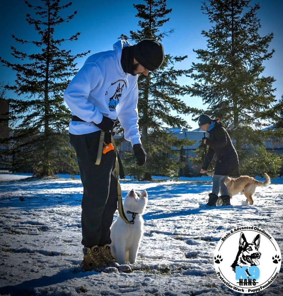 K9 Hans Training Academy